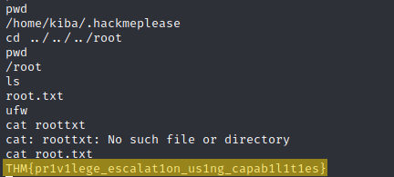 TryHackMe: Kiba - Eric Logan